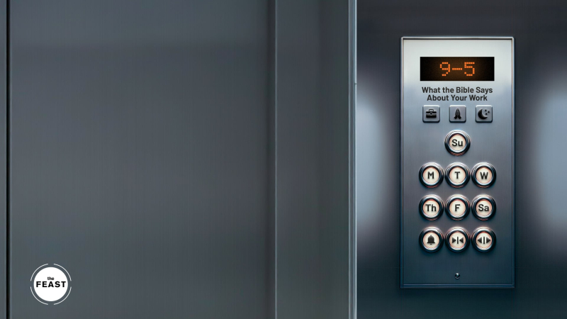 The Feast Light - The Feast Video